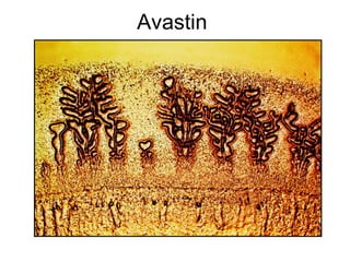 Genentech drugs in fine art | PPT
