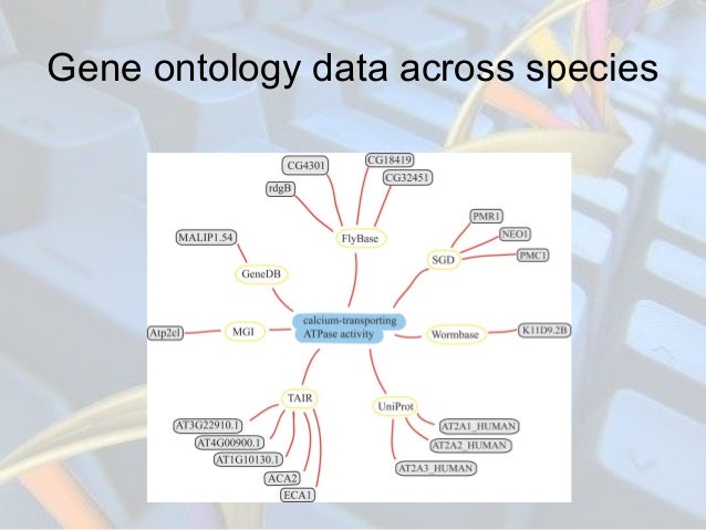 Gene Ontology Project