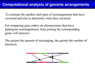 Gene order | PPT