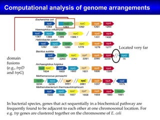 Gene order | PPT