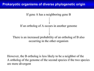 Gene order | PPT