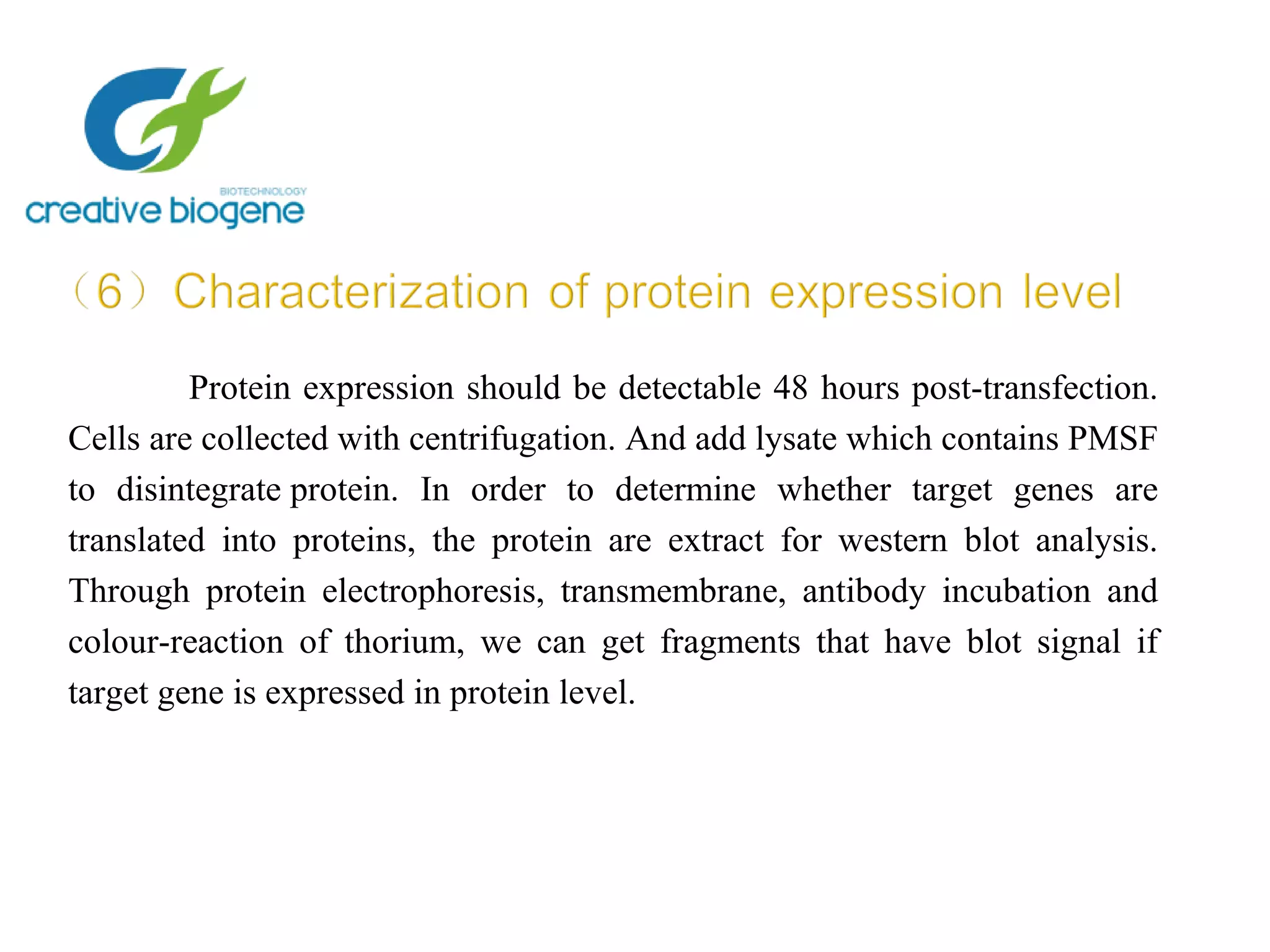 Gene overexpression protocol.doc