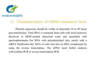 Gene overexpression protocol.doc