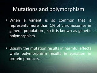 Gene structure and function | PPTX