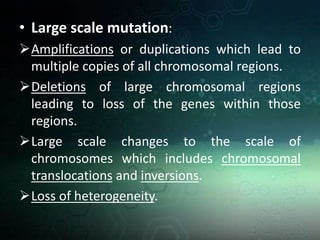 Gene structure and function | PPTX