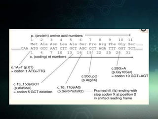 Gene structure and function | PPTX