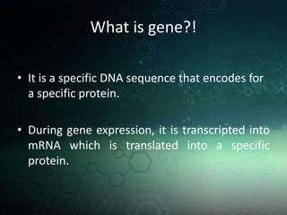 Gene structure and function | PPTX