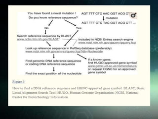 Gene structure and function | PPTX