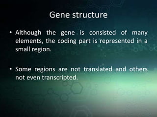Gene structure and function | PPTX