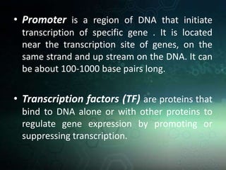 Gene structure and function | PPTX