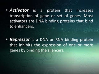 Gene structure and function | PPTX