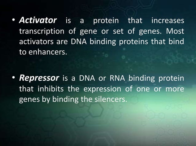 Gene structure and function | PPTX