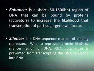 Gene structure and function | PPTX
