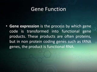 Gene structure and function | PPTX