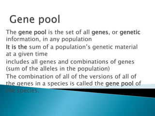 Gene pool | PPT