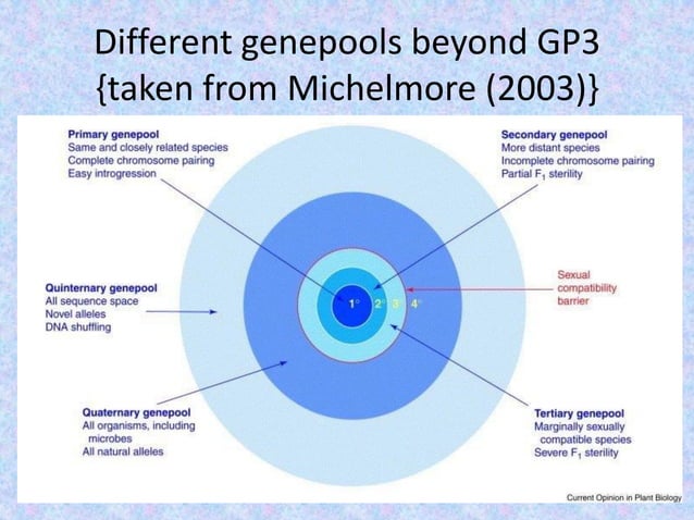 Gene pool concept for breeding purpose | PDF | Genetics | Science