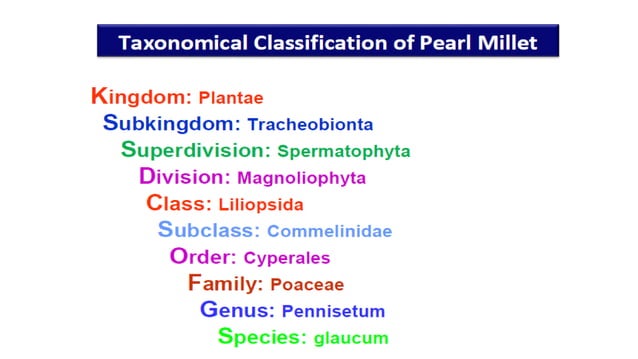 Genepool of pearl millet | PPTX