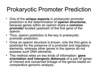 Bioinformatics | PPT