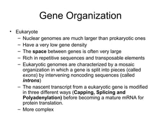 Bioinformatics | PPT