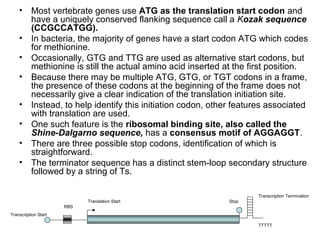 Bioinformatics | PPT