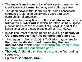 Bioinformatics | PPT