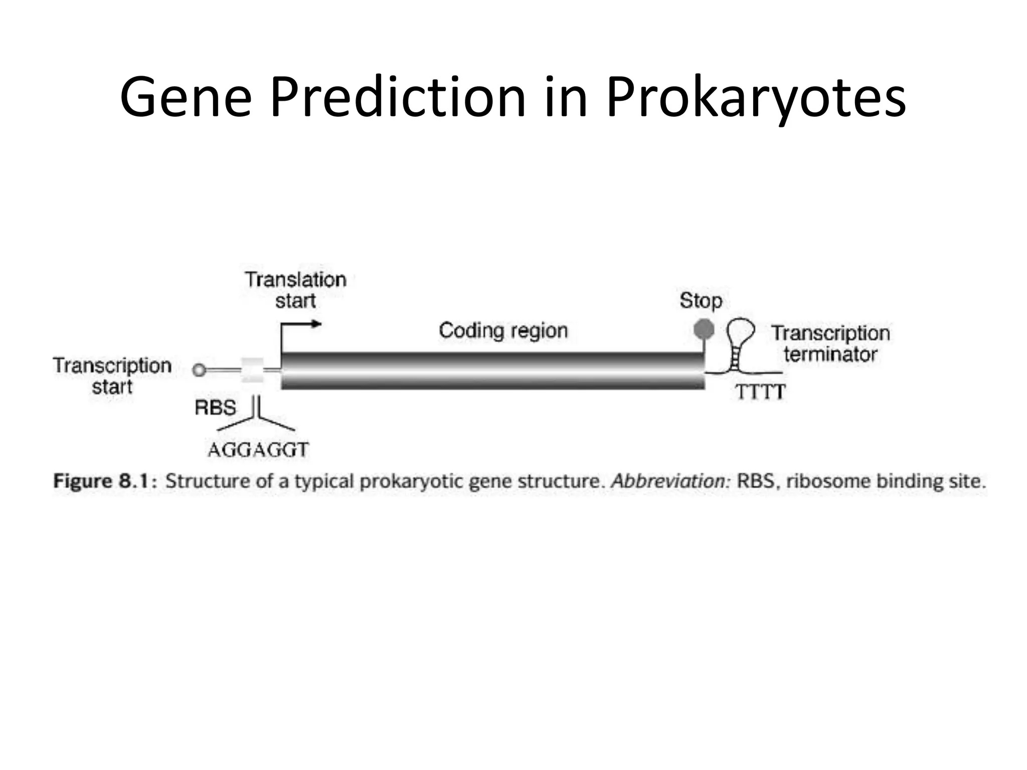 Gene Prediction | PPTX