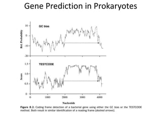 Gene Prediction | PPTX