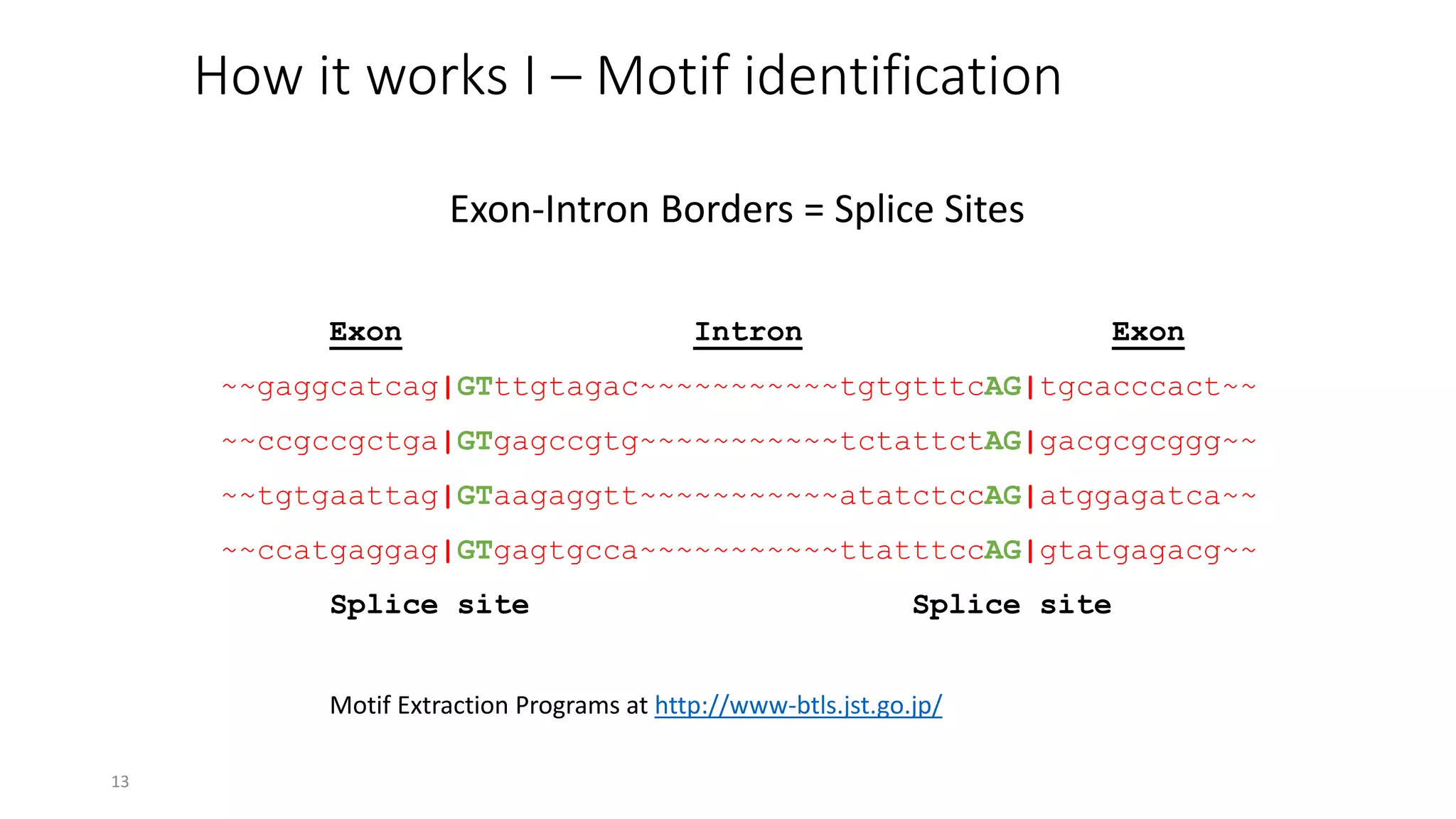 gene prediction methods.pptx | Genetics | Science
