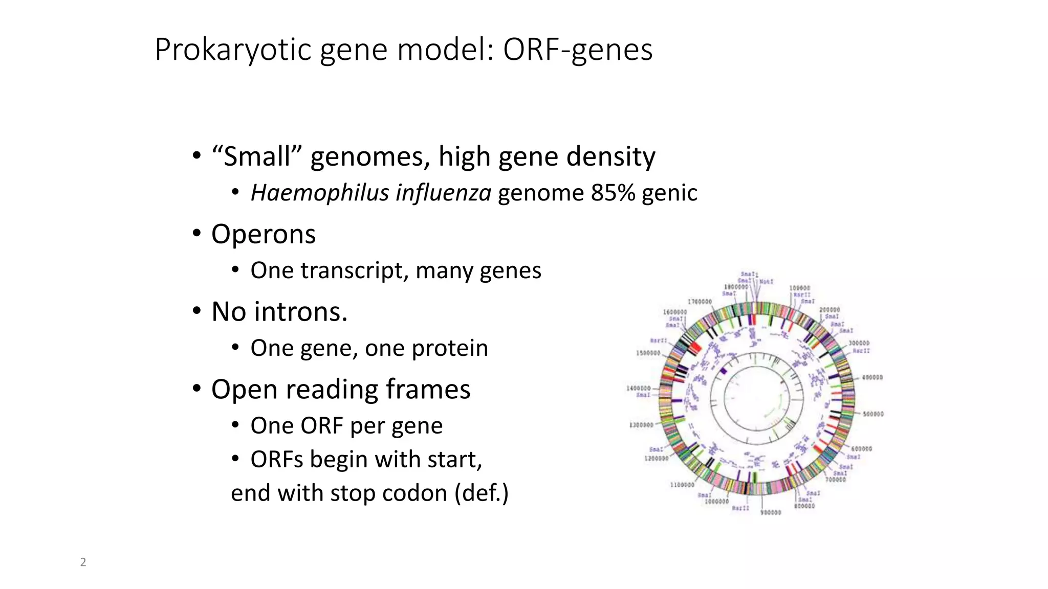 gene prediction methods.pptx | Genetics | Science