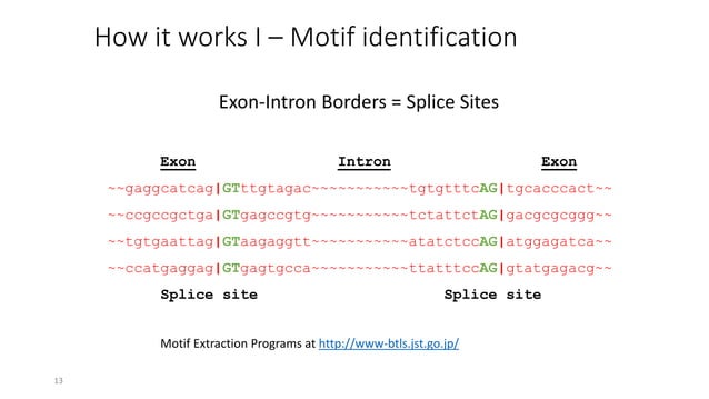 gene prediction methods.pptx | Genetics | Science