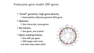gene prediction methods.pptx | Genetics | Science