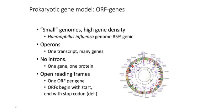 gene prediction methods.pptx | Genetics | Science