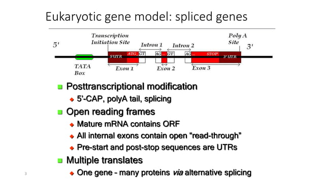 gene prediction methods.pptx | Genetics | Science