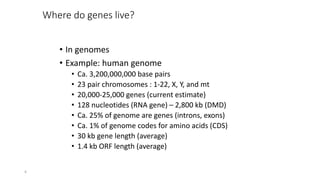 gene prediction methods.pptx | Genetics | Science