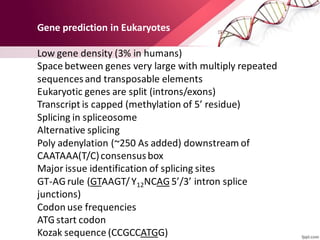 Gene prediction methods vijay | PDF