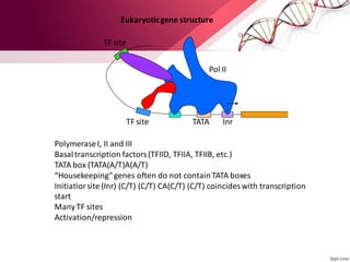 Gene prediction methods vijay | PDF