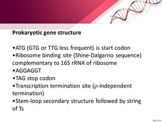 Gene prediction methods vijay | PDF