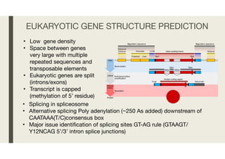 Gene prediction strategies | PDF