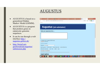 Gene prediction strategies | PDF