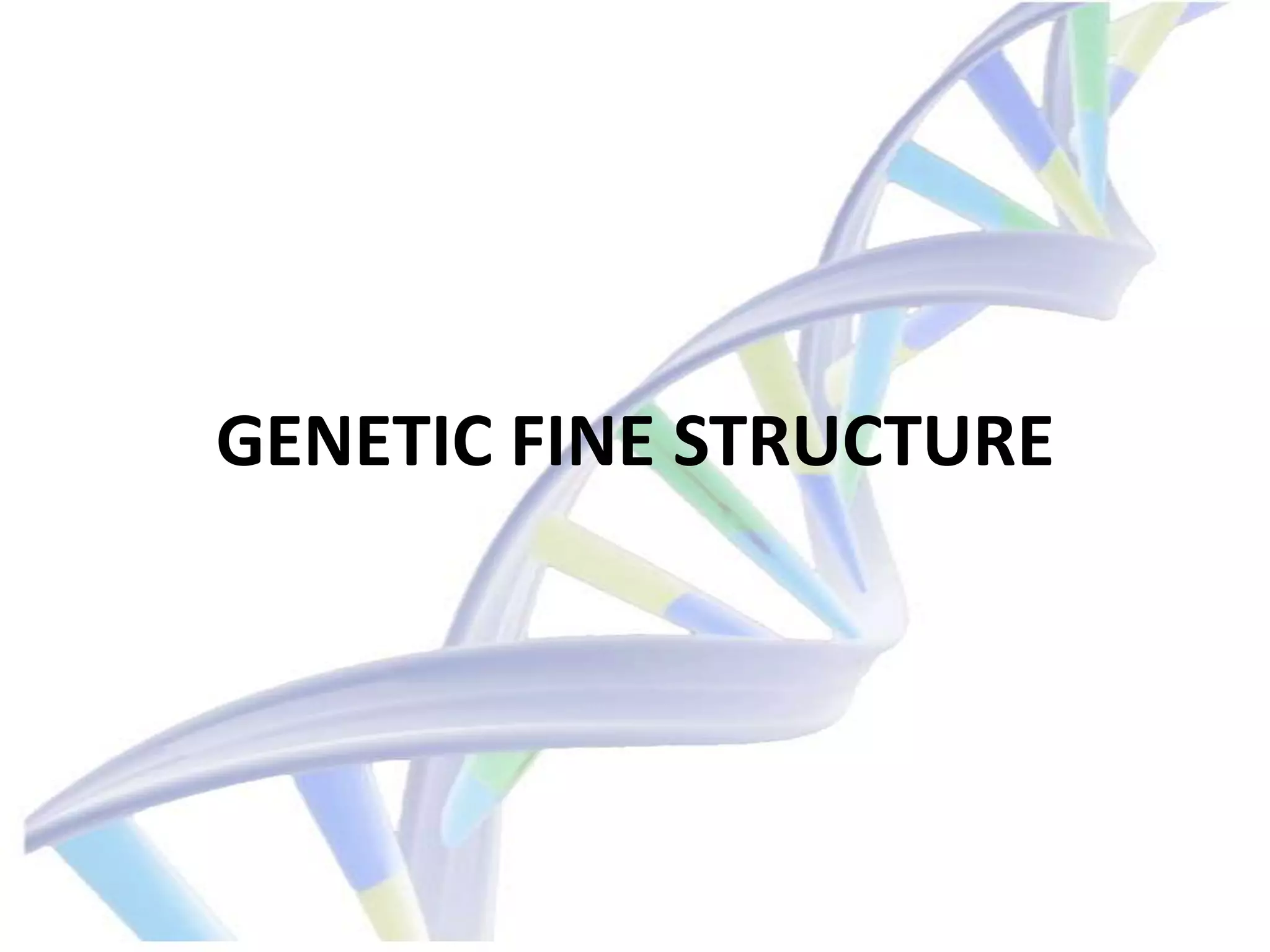 Gene protein relattionship. genetic fine structure | PPTX
