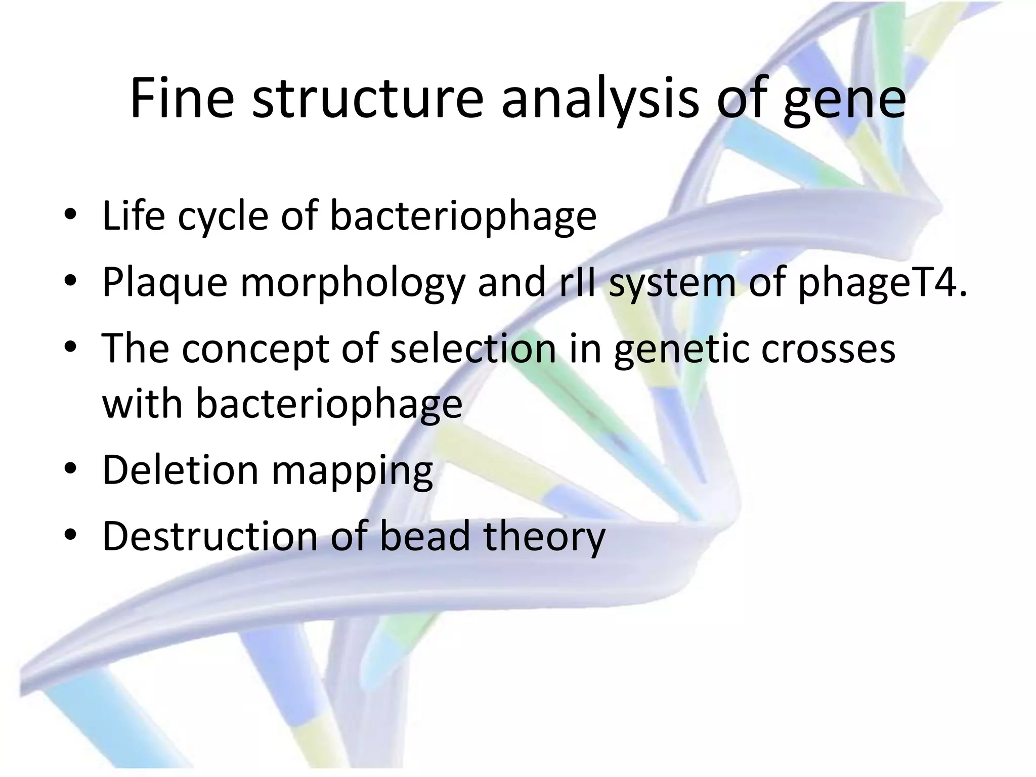 Gene protein relattionship. genetic fine structure | PPTX