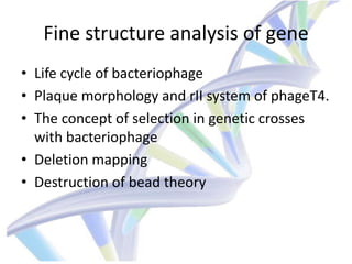 Gene protein relattionship. genetic fine structure | PPTX