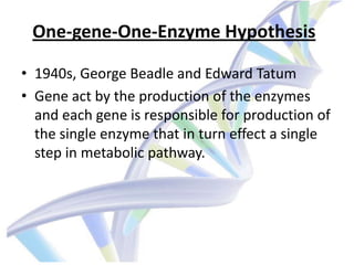 Gene protein relattionship. genetic fine structure | PPTX