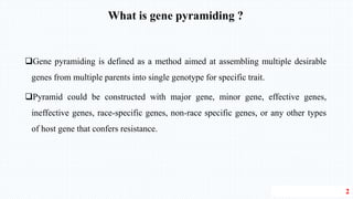 Gene pyramiding in tomato | PPT