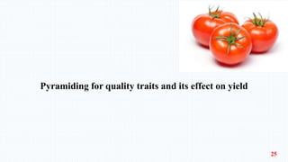 Gene pyramiding in tomato | PPT