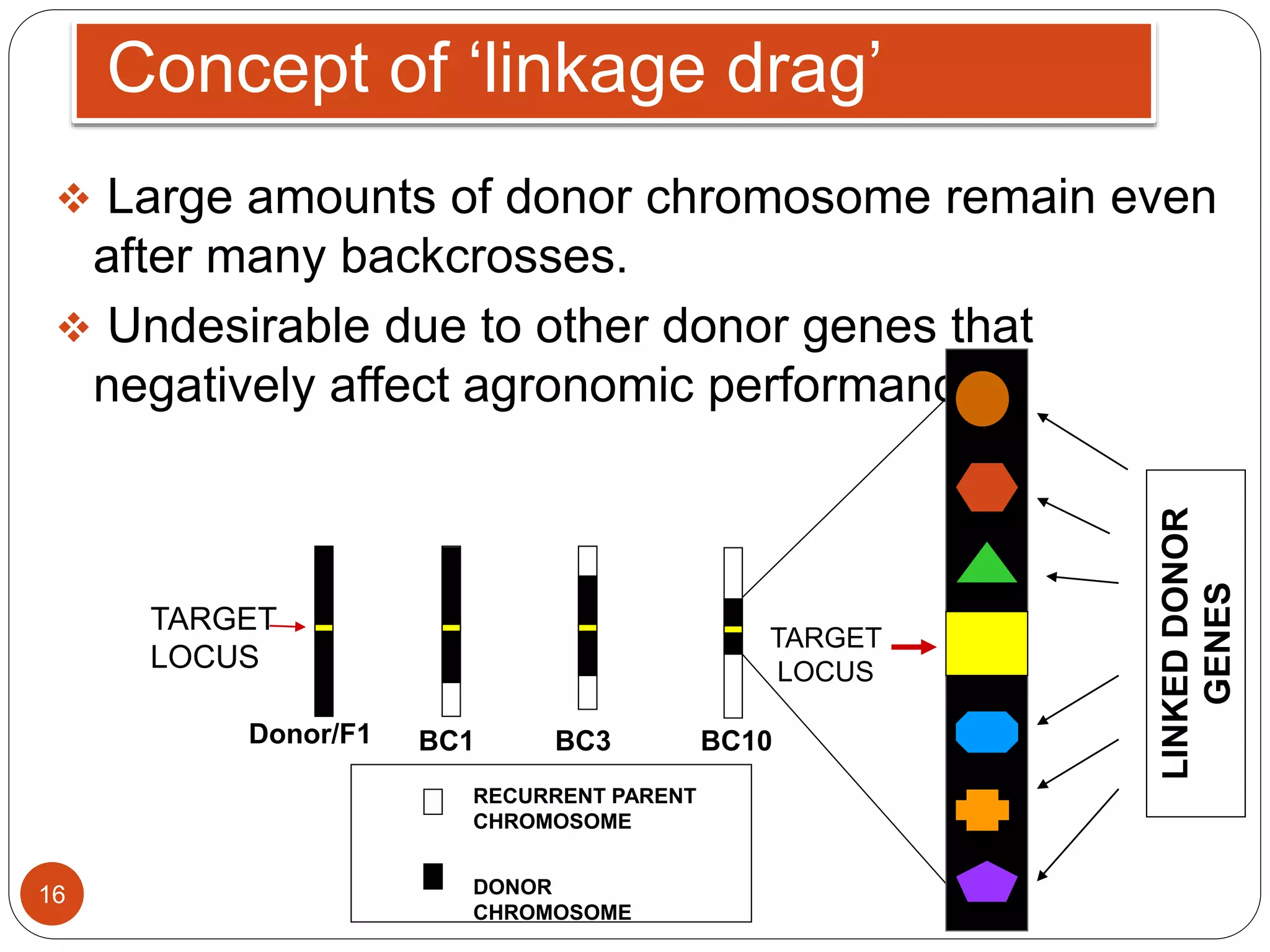 Gene pyramiding | PPTX