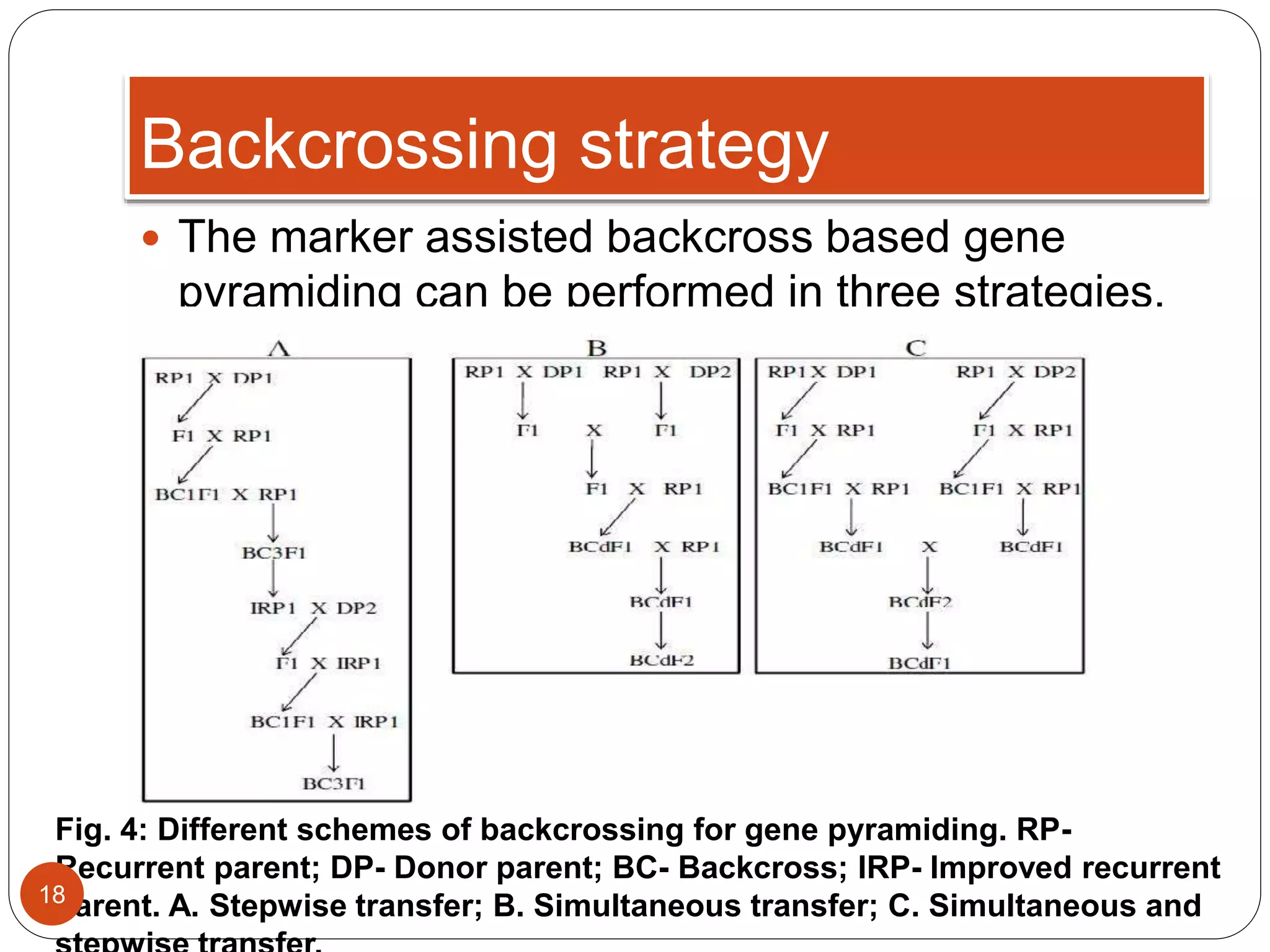 Gene pyramiding | PPTX