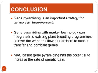 Gene pyramiding | PPTX