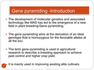 Gene pyramiding | PPTX