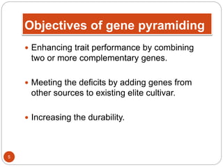 Gene pyramiding | PPTX